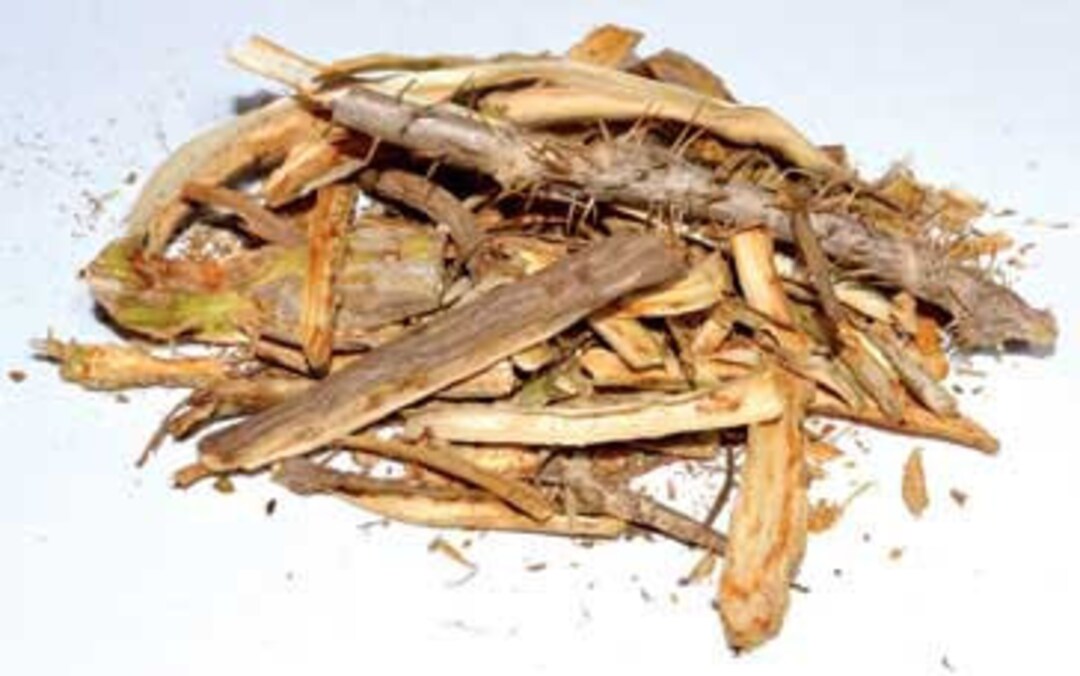 Devil's Club Root Bark C/s Wildcrafted .25oz - Etsy