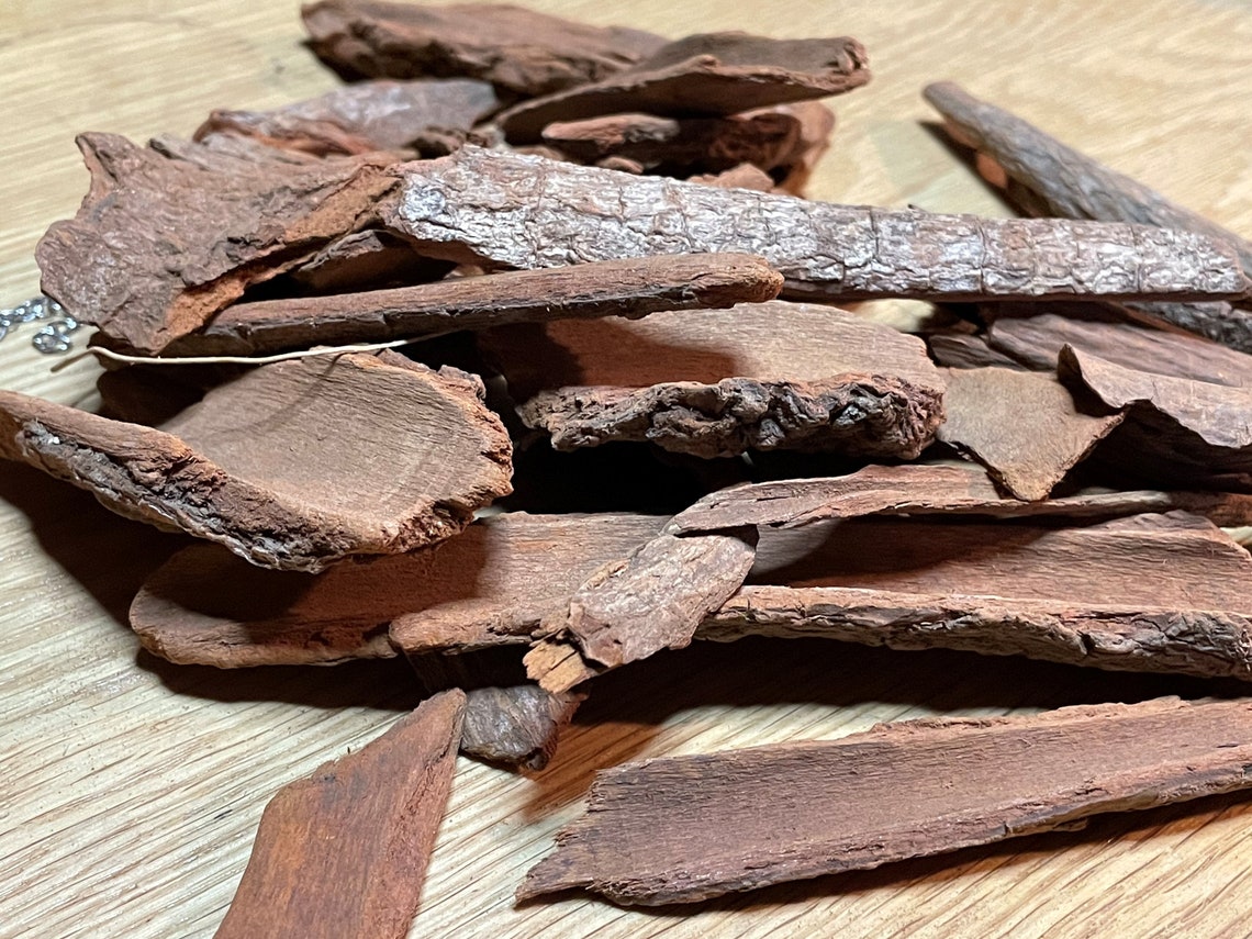 CINCHONA BARK Aka Peruvian Bark 1 Oz. cinchona Succirubra - Etsy