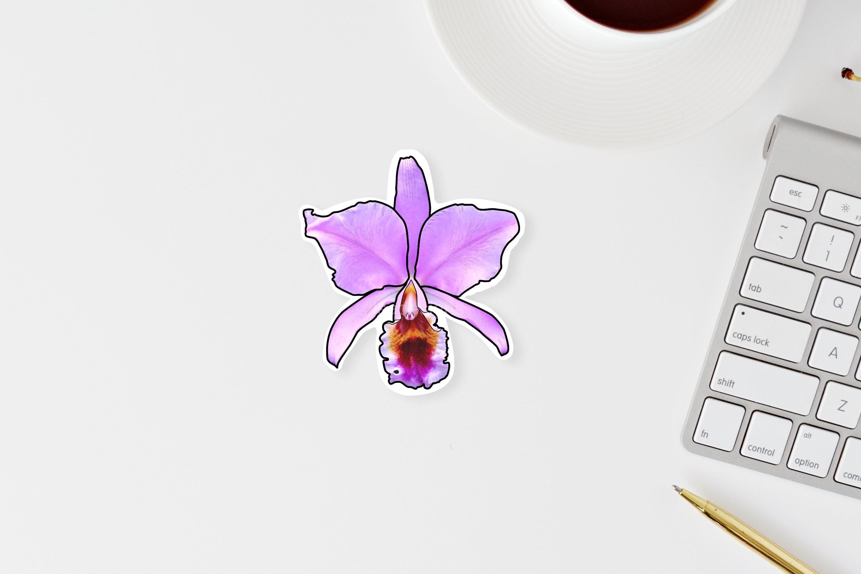 Purple Cattleya Orchid Sticker Orquídea Cattleya Sticker | Etsy