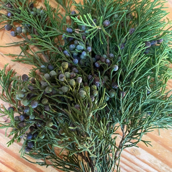 Fresh Cut Pine Branches - Etsy