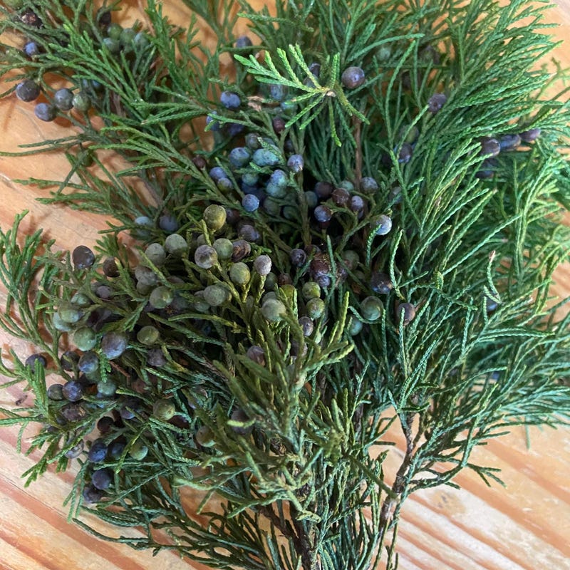 Juniper Home Decor - Etsy