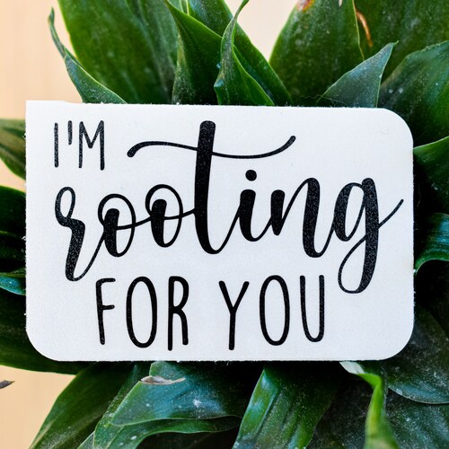 I'm Rooting for You PLANTER DECAL ONLY Inspirational or - Etsy