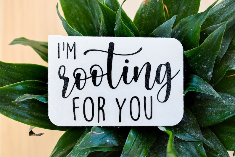 I'm Rooting for You PLANTER DECAL ONLY Inspirational or | Etsy