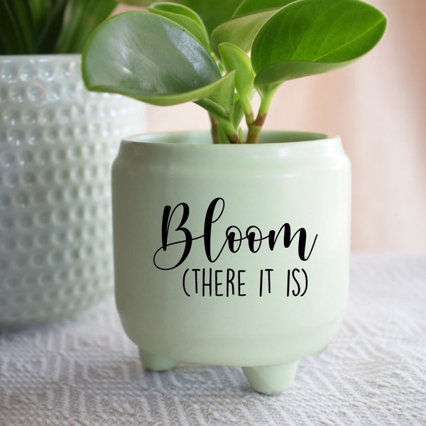Plant Puns Pots - Etsy