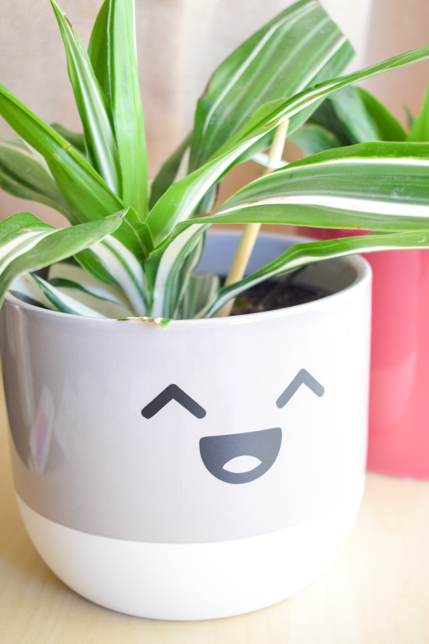 Kawaii Face PLANTER DECAL ONLY Cute Happy Indoor Plant - Etsy