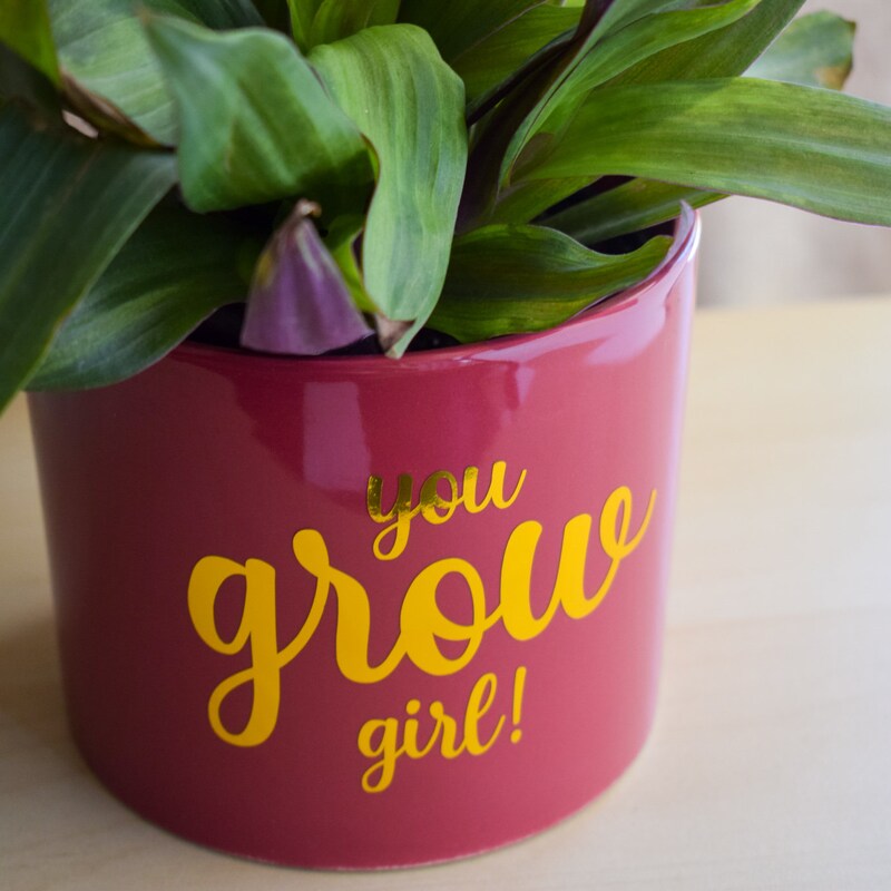 Plant Puns Pots - Etsy