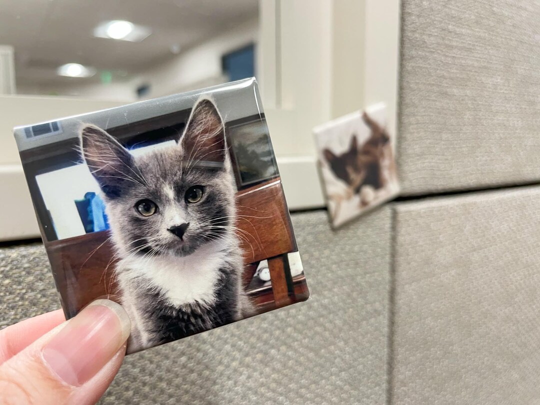 6 Pack Customized 2 Inch Square Photo Magnets | Cubicle Decor ...