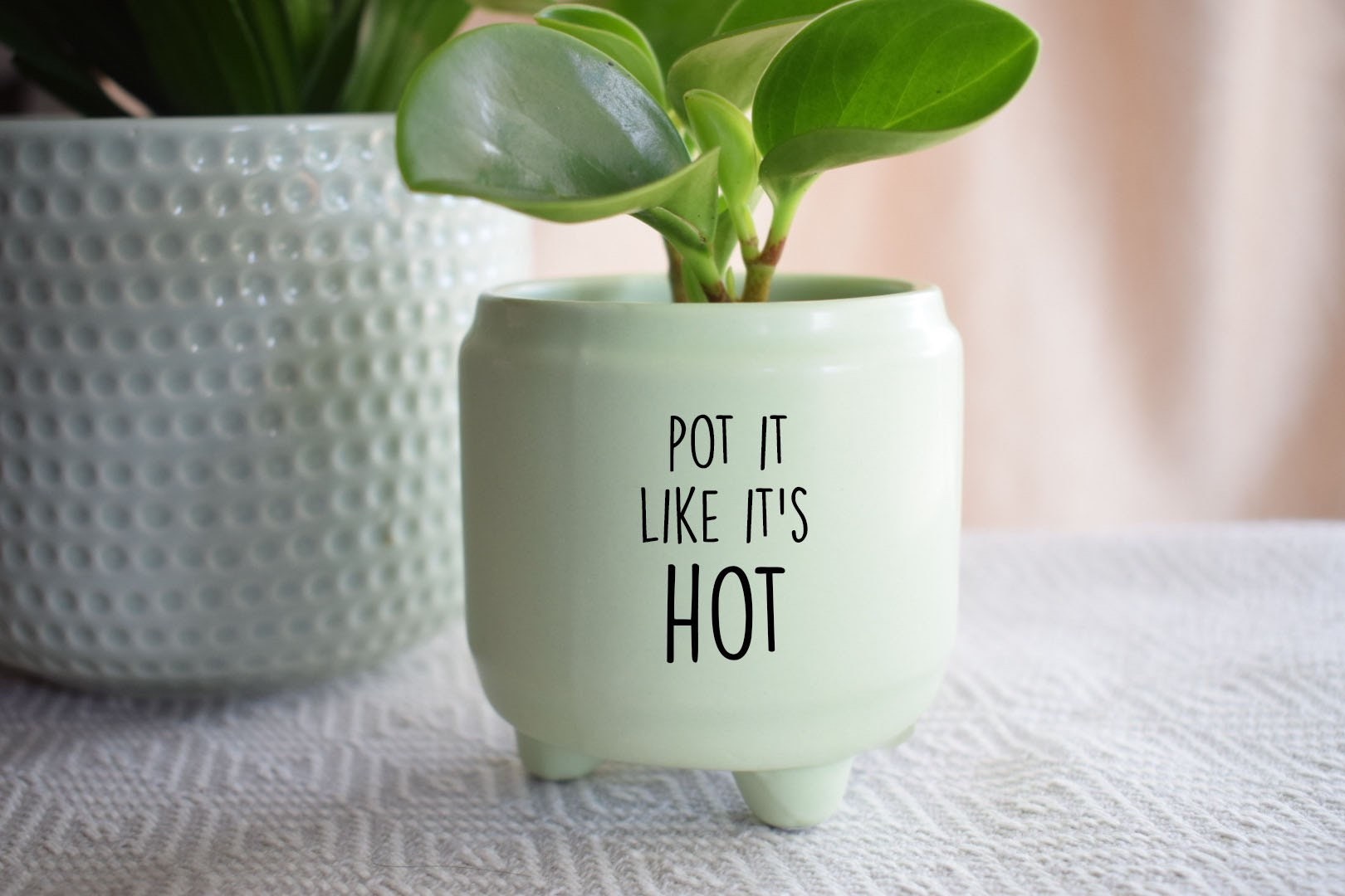 Pot It Like It's Hot PLANTER DECAL ONLY / Plant Pun / - Etsy España