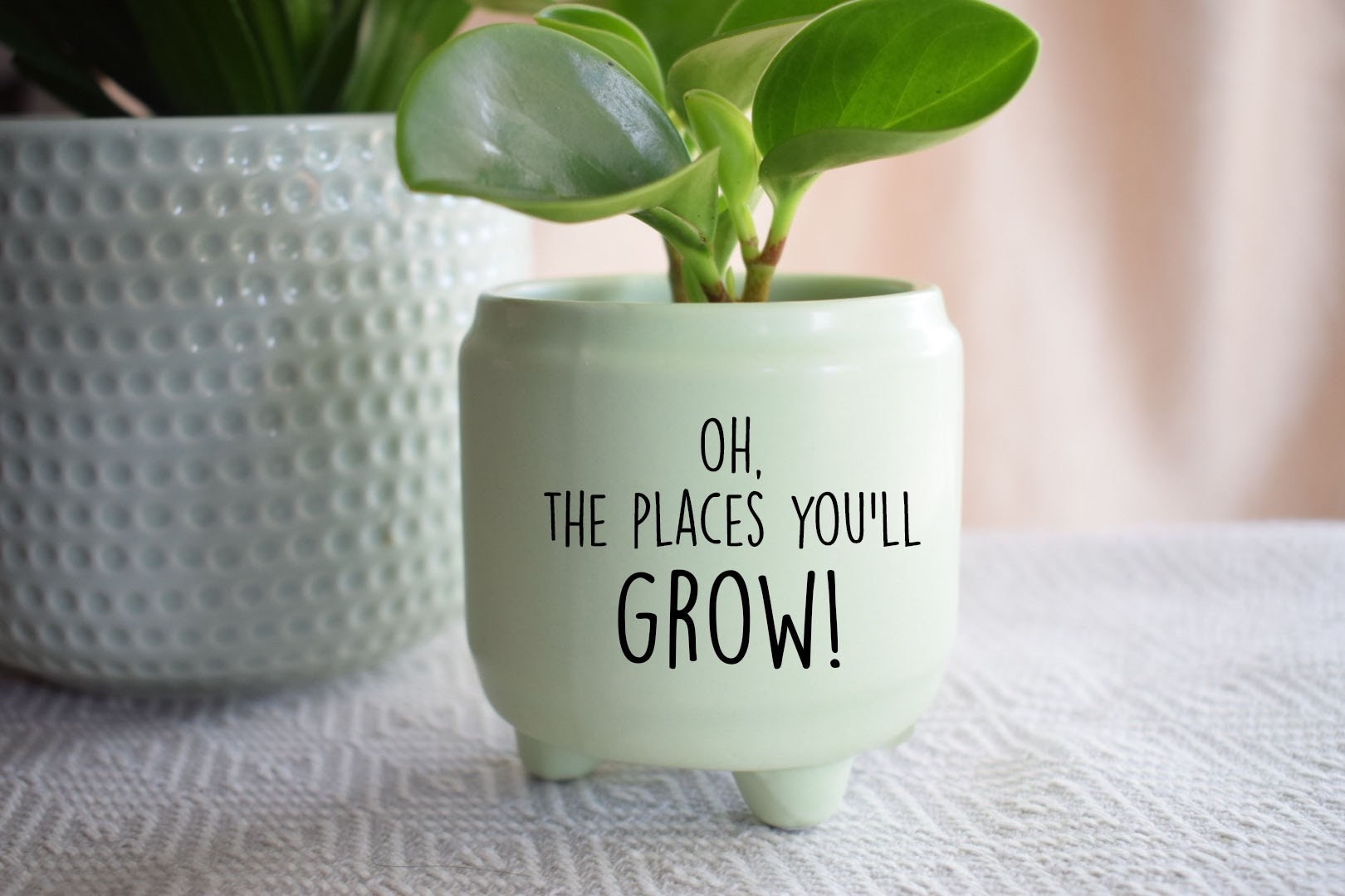 Oh The Places You'll Grow PLANTER DECAL ONLY Pun | Etsy