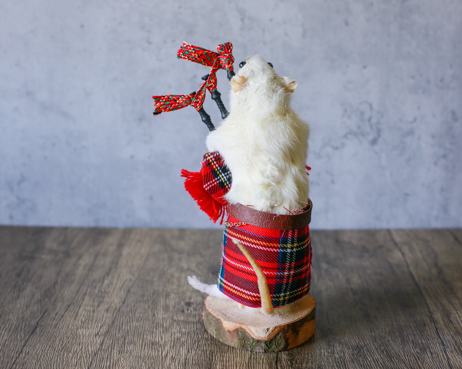 Taxidermy Mouse With Bagpipes, Rat, Rodent, Scottish, Scotland,musical ...