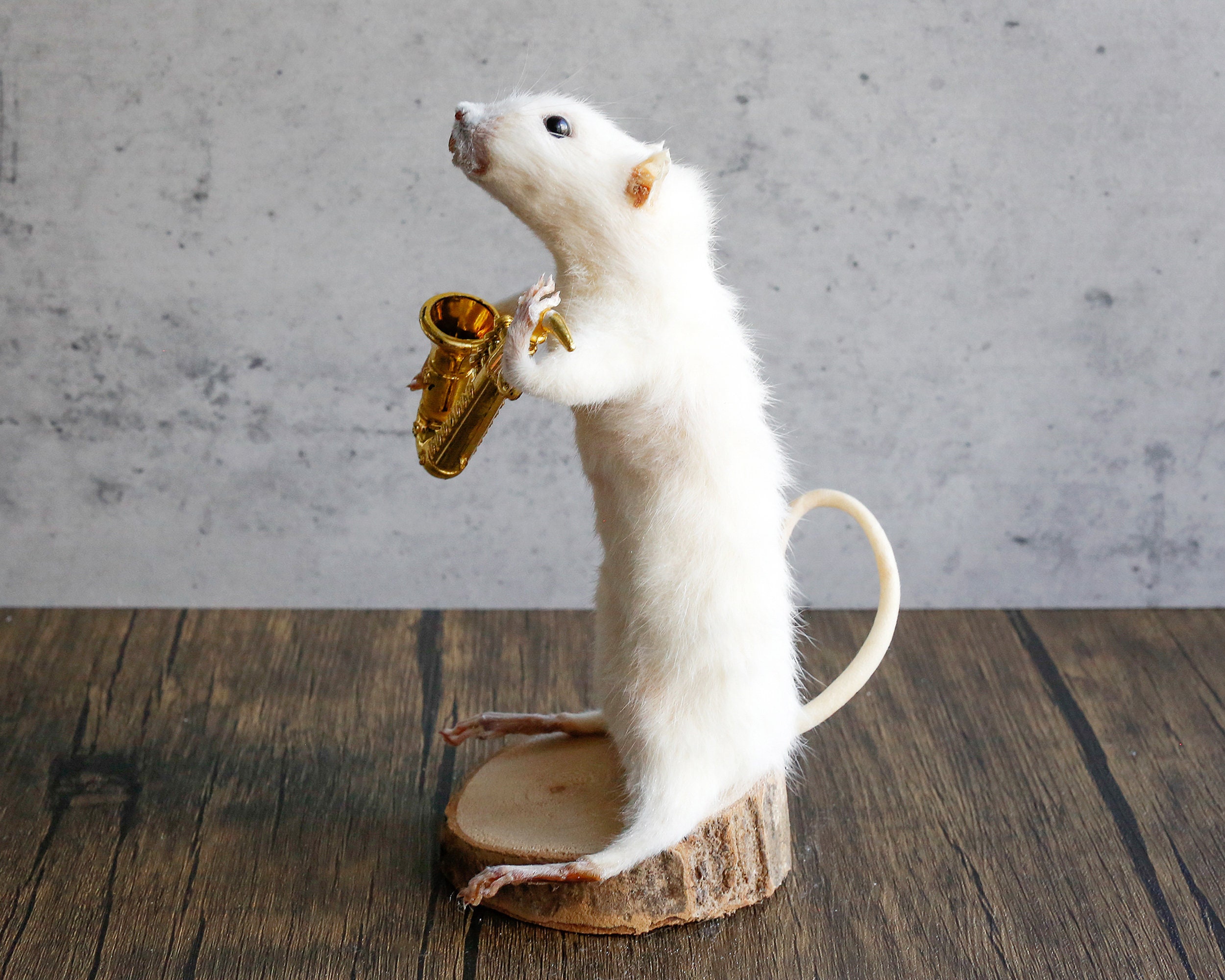 Taxidermy Mouse / Rat / Rodent - with a saxophone! — Taxidermy Tom