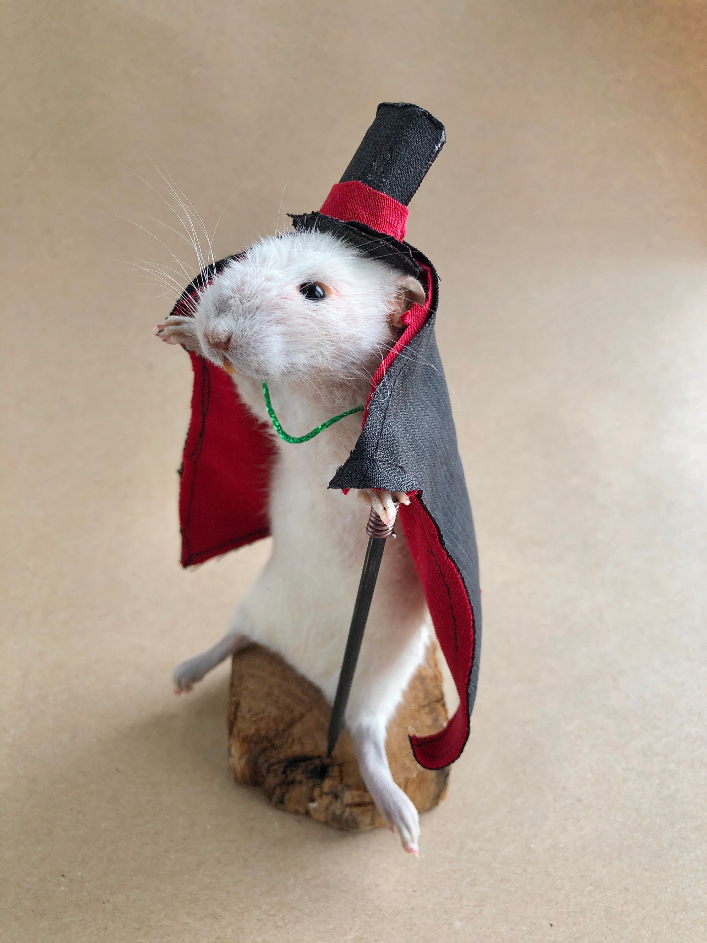 Taxidermy Mouse with top hat & cloak! — Taxidermy Tom