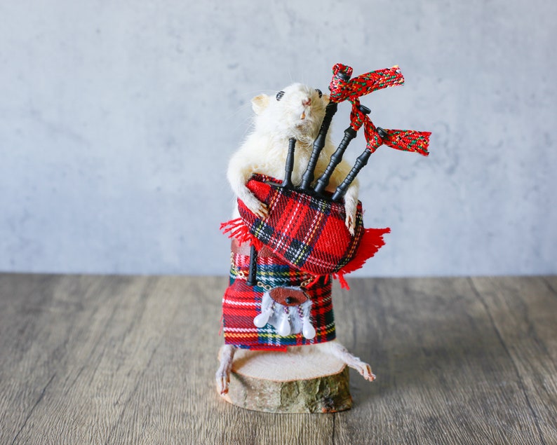 Taxidermy Mouse With Bagpipes, Rat, Rodent, Scottish, Scotland,musical ...
