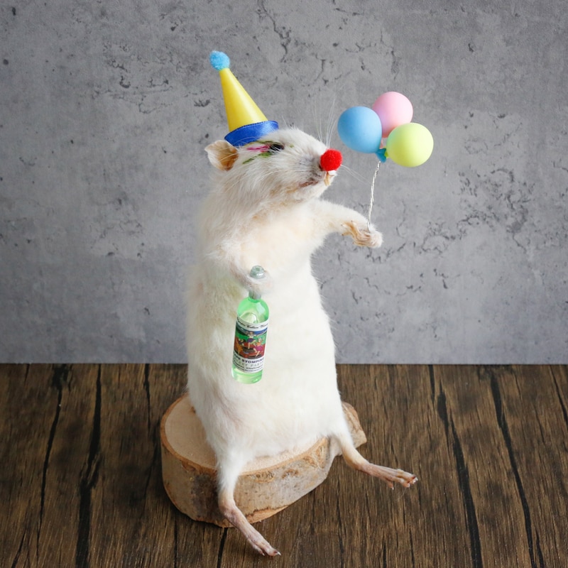 Weird Taxidermy - Etsy