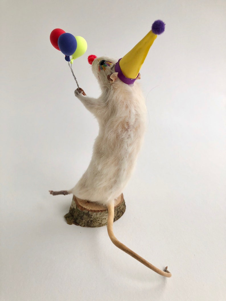 Taxidermy Mouse / Rat / Rodent The Sad Clown Made to Order | Etsy