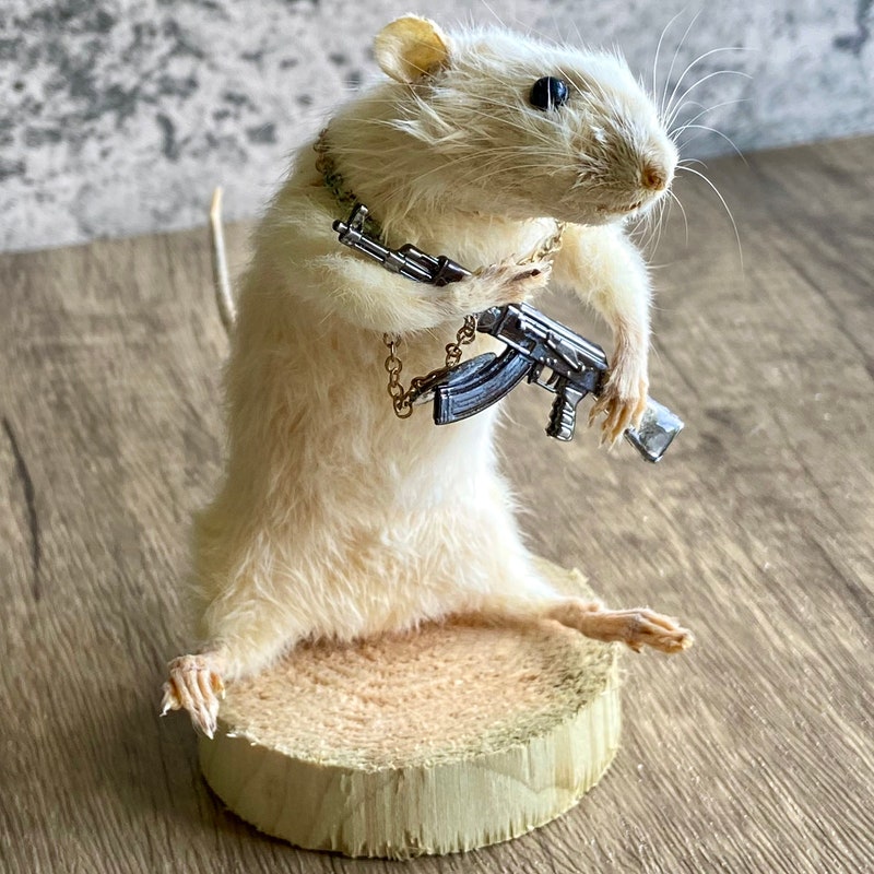 Weird Taxidermy Etsy