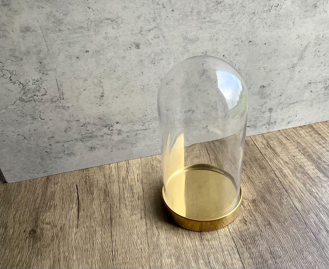 New Glass Display Dome/bell Jar to Suit Small Upright Rodents From ...