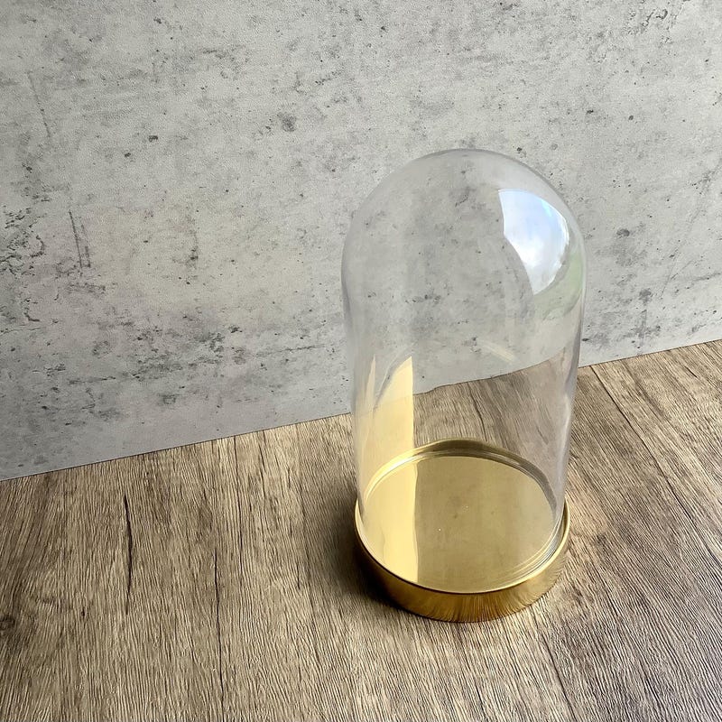 Glass Bell Jars - Etsy