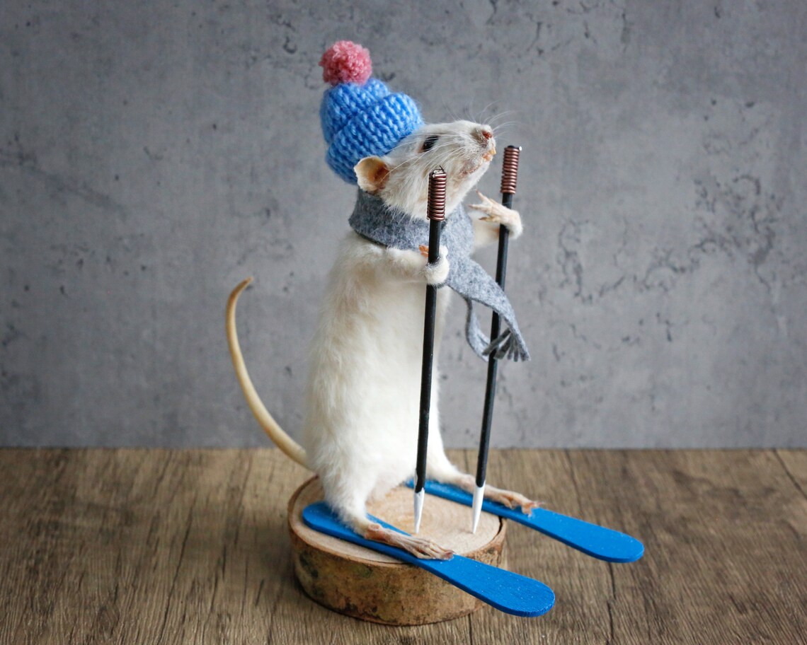Taxidermy Mouse / Rat / Rodent Ski / Skier | Etsy