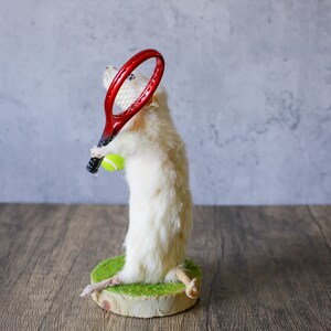 Taxidermy Rodent Tennis Racquet, Curiosity, Novelty, Unique, Handmade ...