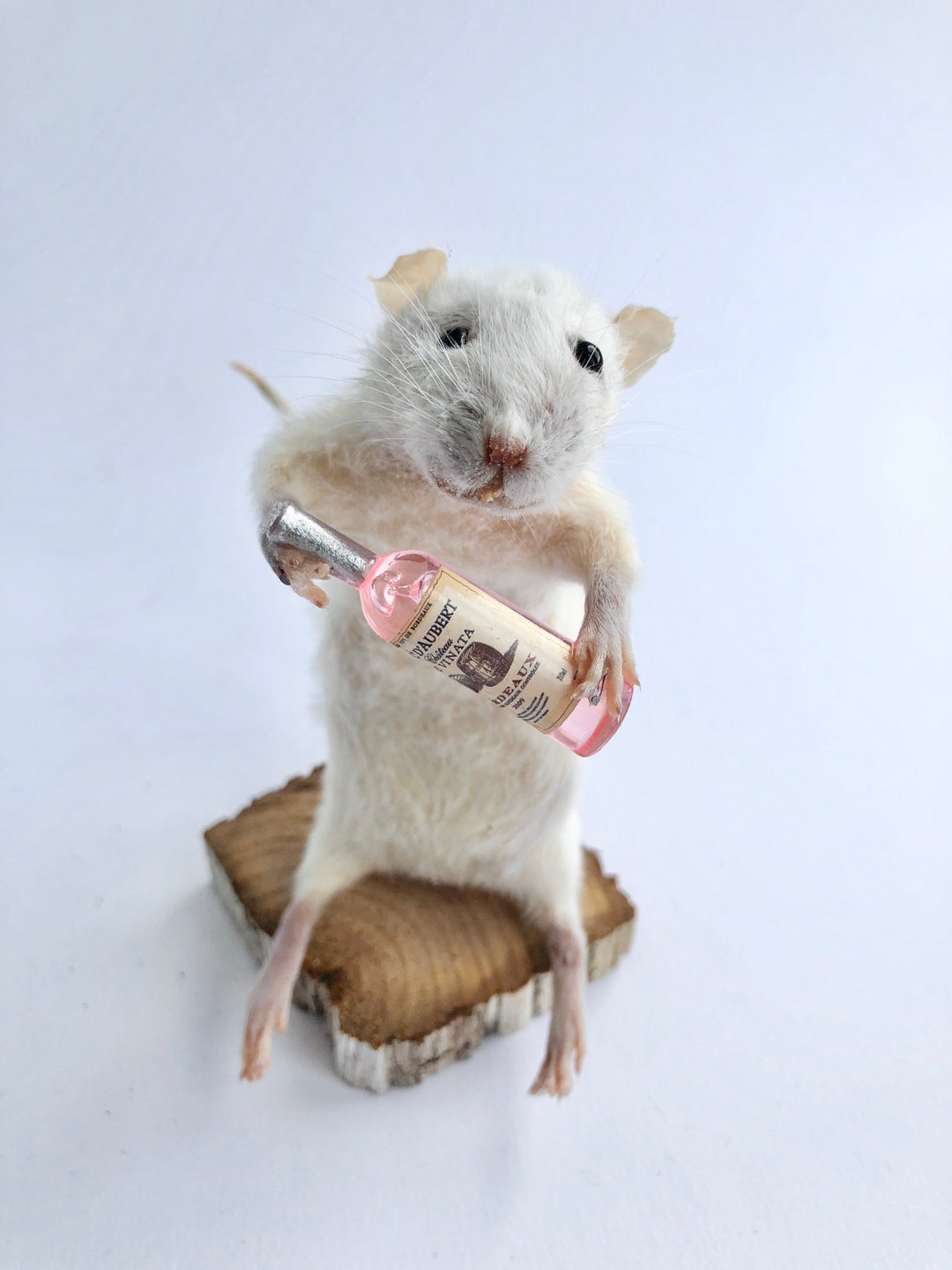 Taxidermy Mouse With Pink Wine Bottle, Unique, Cute, Novelty, Oddities ...
