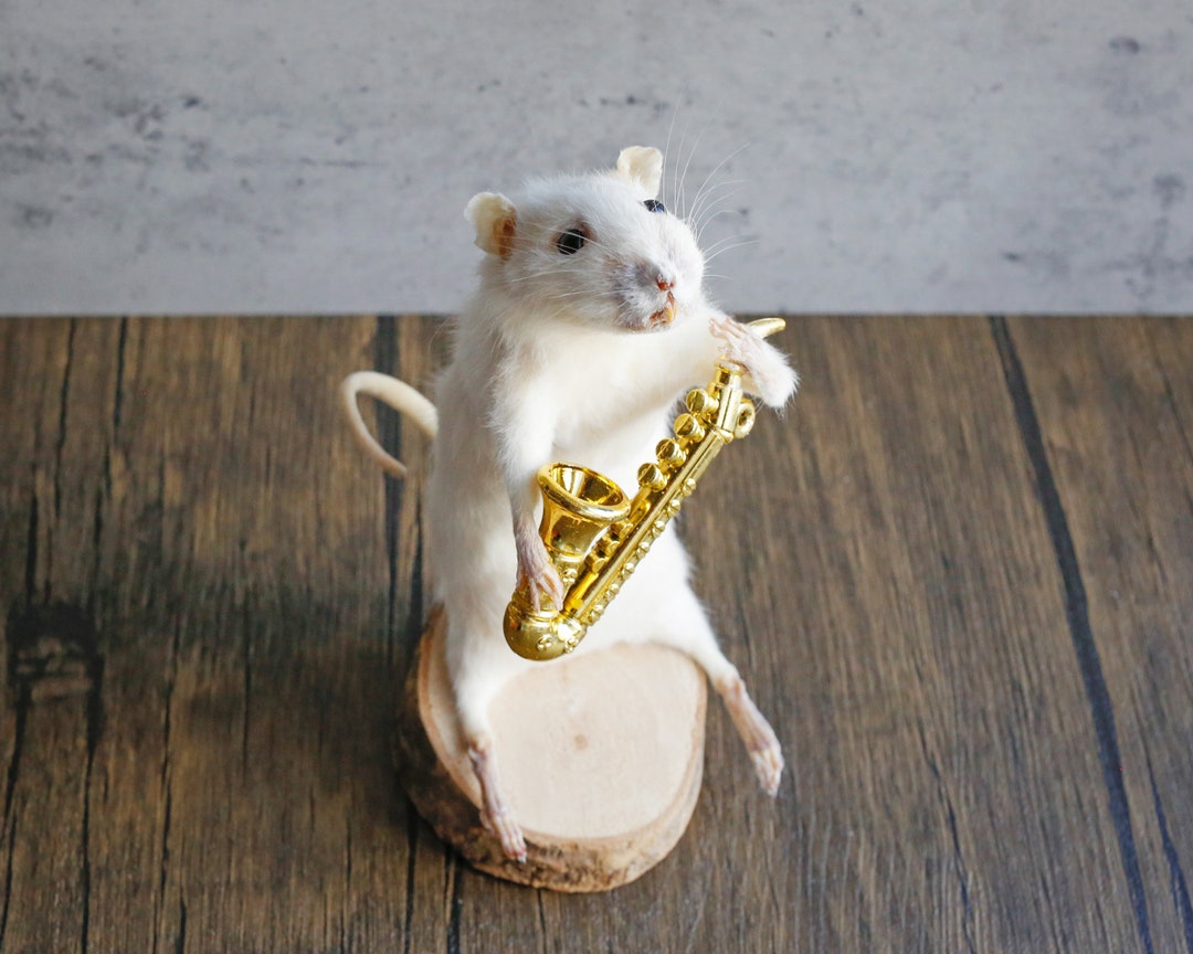 Taxidermy Mouse Saxophone, Unique, Gift, Oddity, Handmade, Curiosity ...