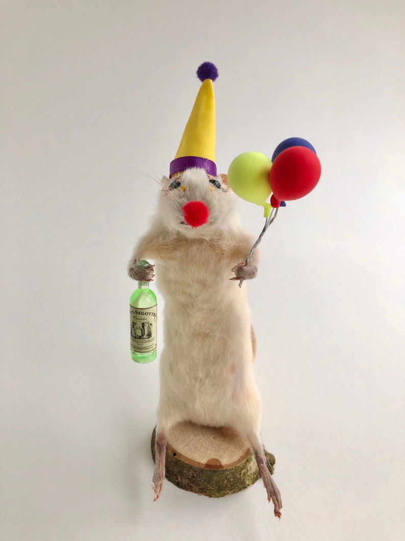 Taxidermy Mouse / Rat / Rodent The Sad Clown Made to Order | Etsy