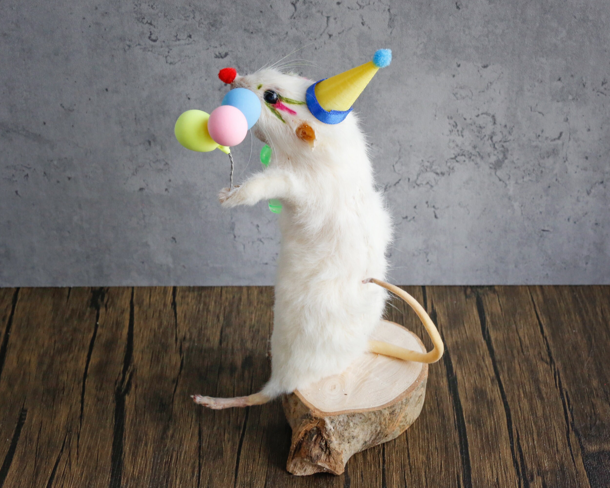 Taxidermy Mouse / Rat / Rodent - The Clown - Made to Order — Taxidermy Tom