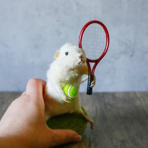 Taxidermy Rodent Tennis Racquet, Curiosity, Novelty, Unique, Handmade ...