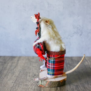 Taxidermy Mouse With Bagpipes, Rat, Rodent, Scottish, Scotland,musical ...
