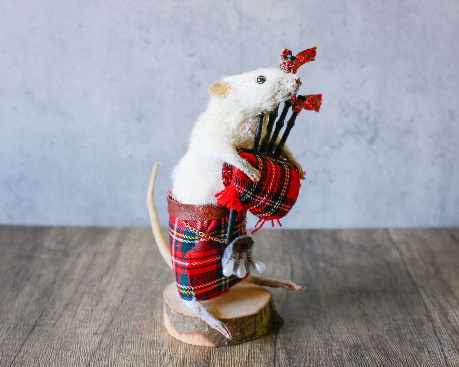 Taxidermy Mouse With Bagpipes, Rat, Rodent, Scottish, Scotland,musical ...