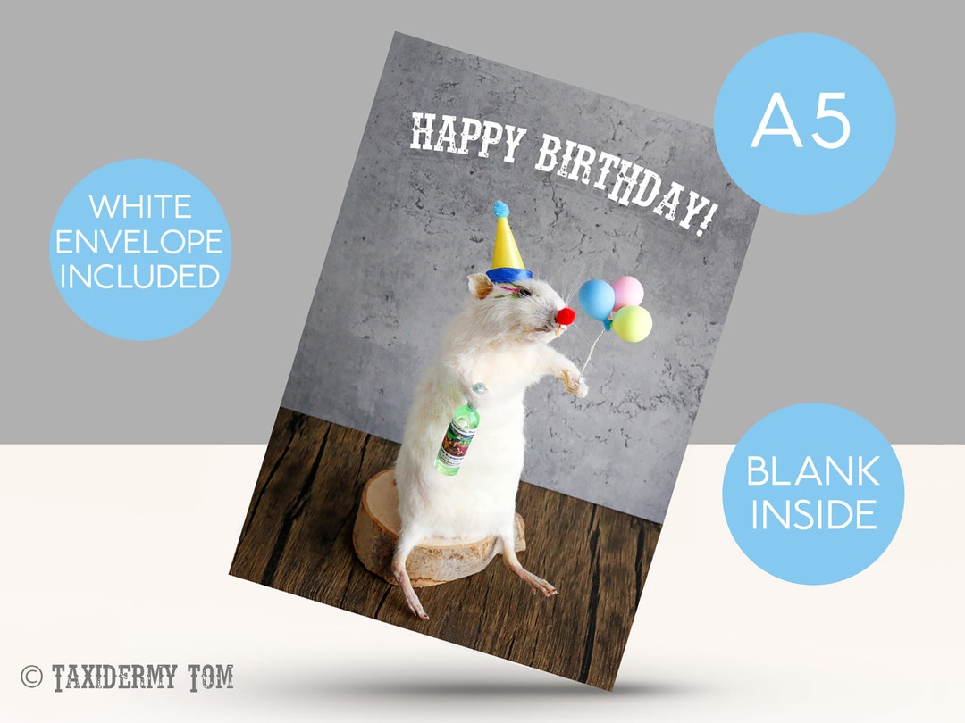 Happy Birthday! (featuring Taxidermy Party Mouse) A5 Novelty Birthday ...