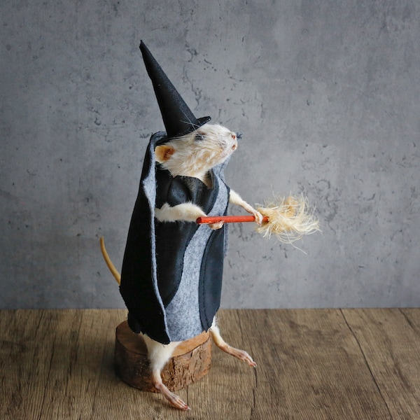 Mouse Witch - Etsy