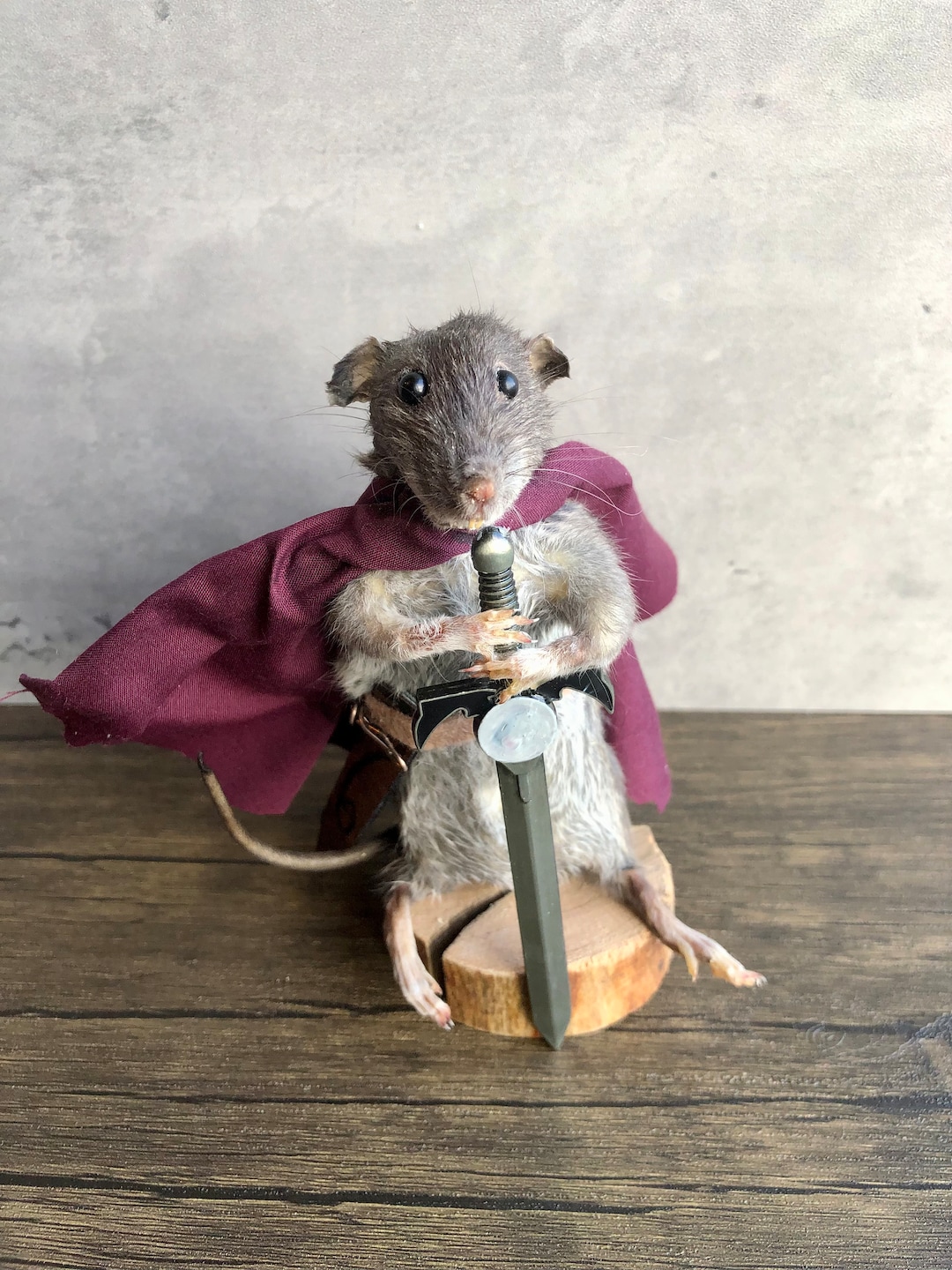 Taxidermy Mouse Sword and Cape, Unique, Gift, Oddity, Handmade ...