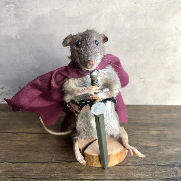 Taxidermy Rat - Etsy