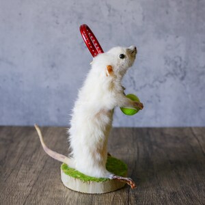 Taxidermy Rodent Tennis Racquet, Curiosity, Novelty, Unique, Handmade ...