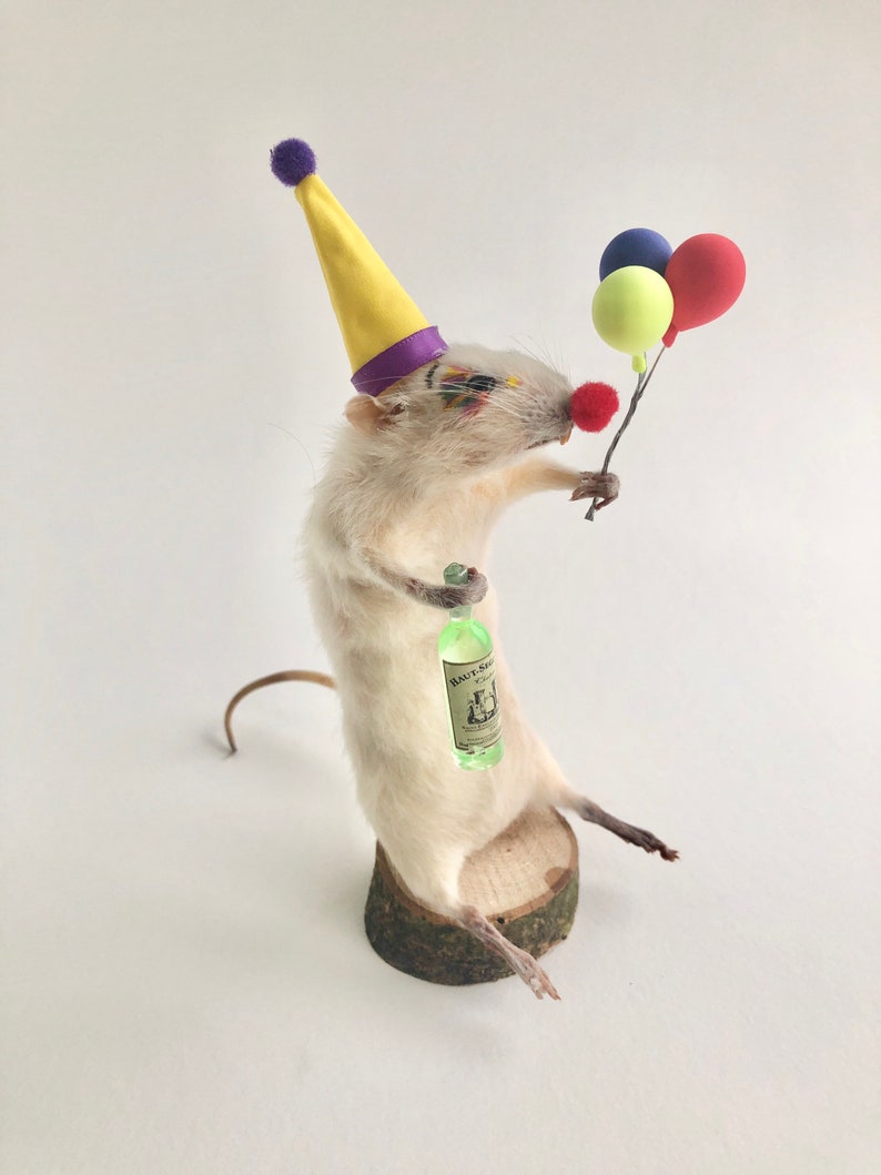Taxidermy Mouse / Rat / Rodent The Sad Clown Made to Order | Etsy