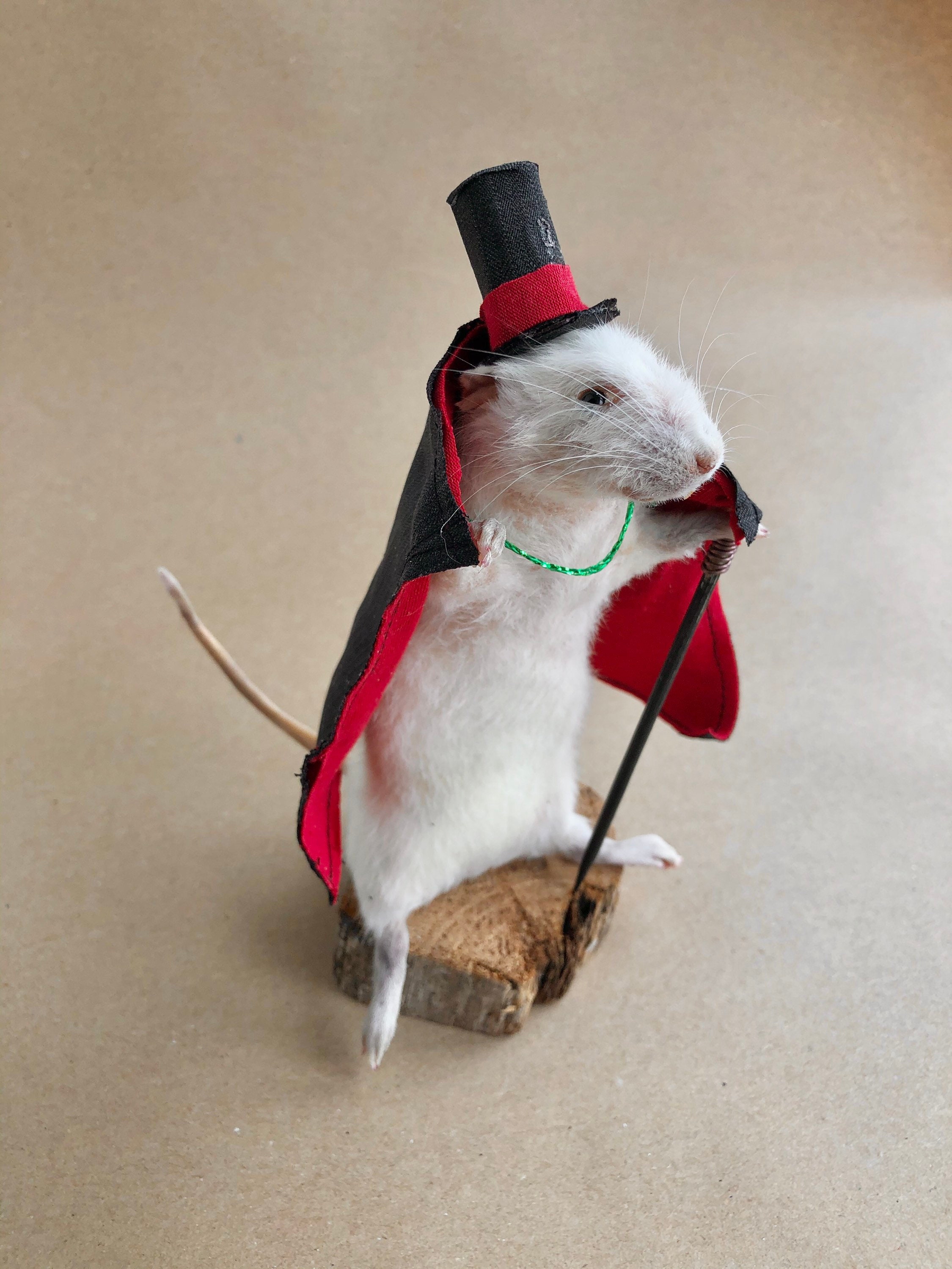 Taxidermy Mouse with top hat & cloak! — Taxidermy Tom