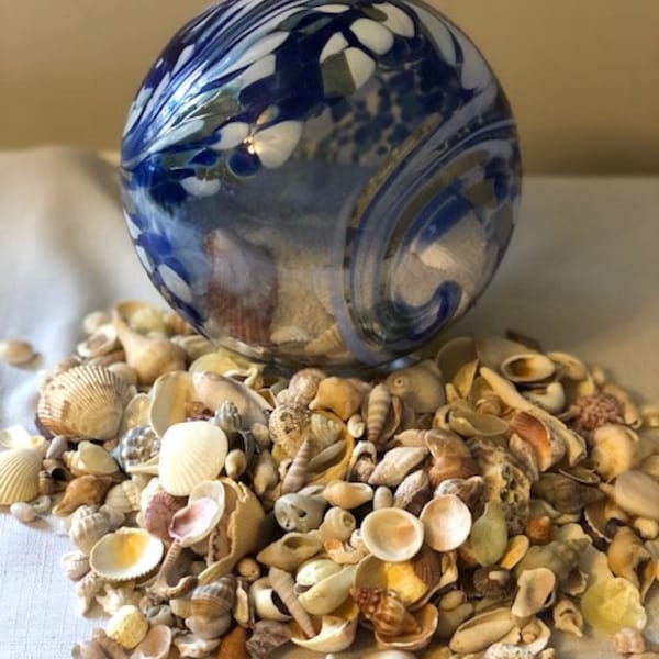 Sand and Shells - Etsy