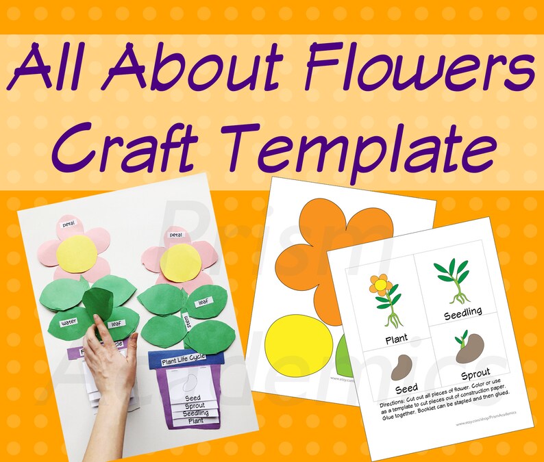 Parts of Flower Craft Template - Instant Download - Printable - Etsy