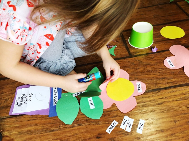 Parts of Flower Craft Template - Instant Download - Printable - Etsy Canada