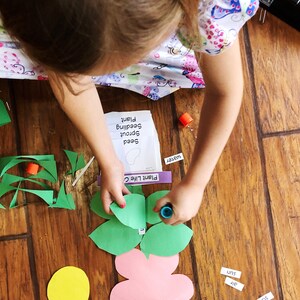 Parts of Flower Craft Template - Instant Download - Printable - Etsy
