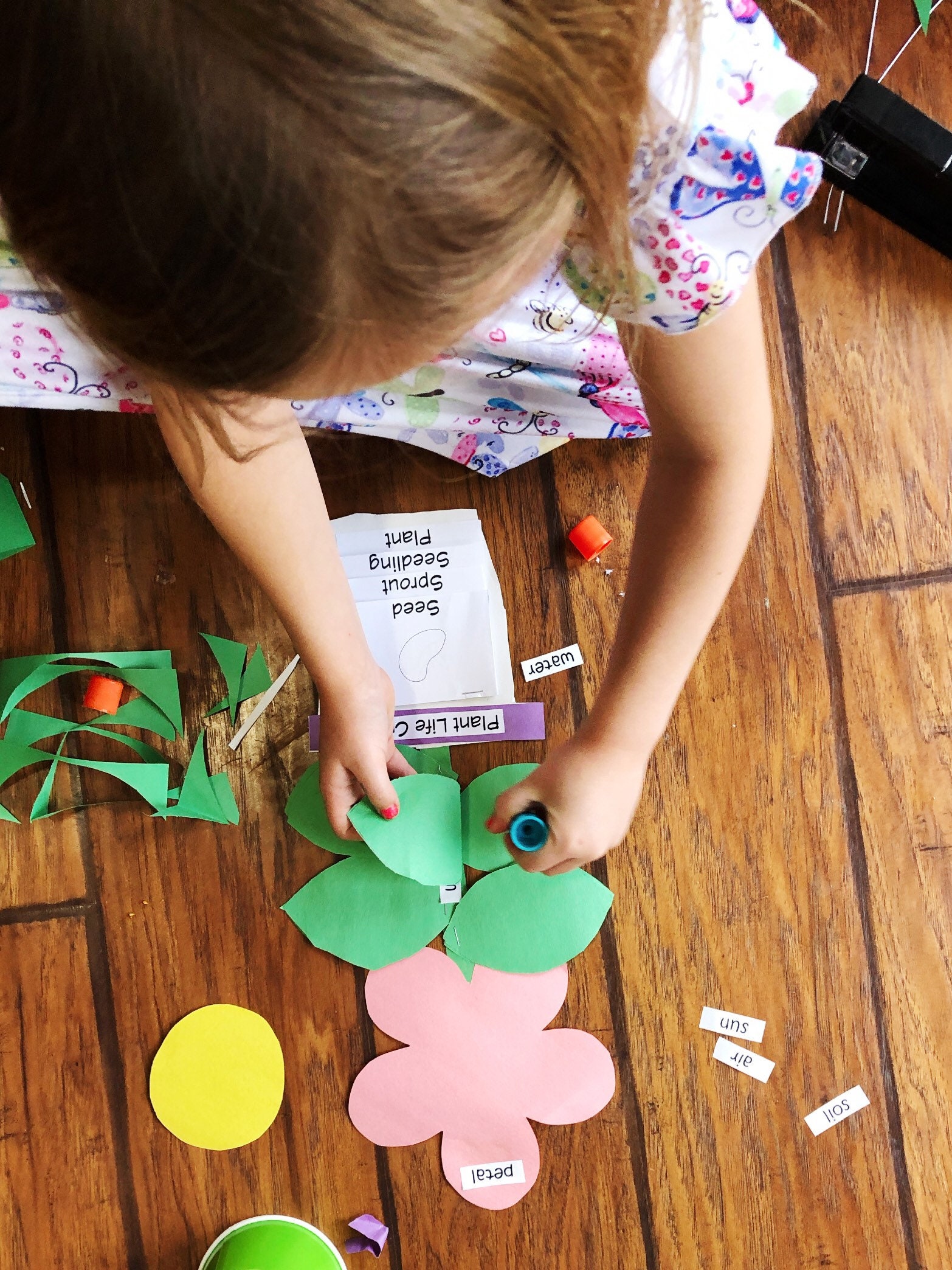 Parts of Flower Craft Template - Instant Download - Printable - Etsy