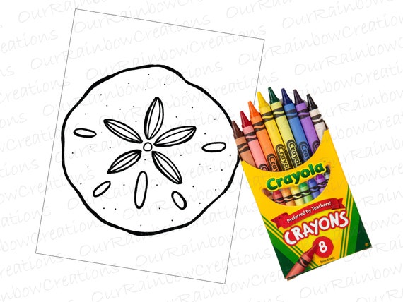 Sand Dollar Coloring Pages