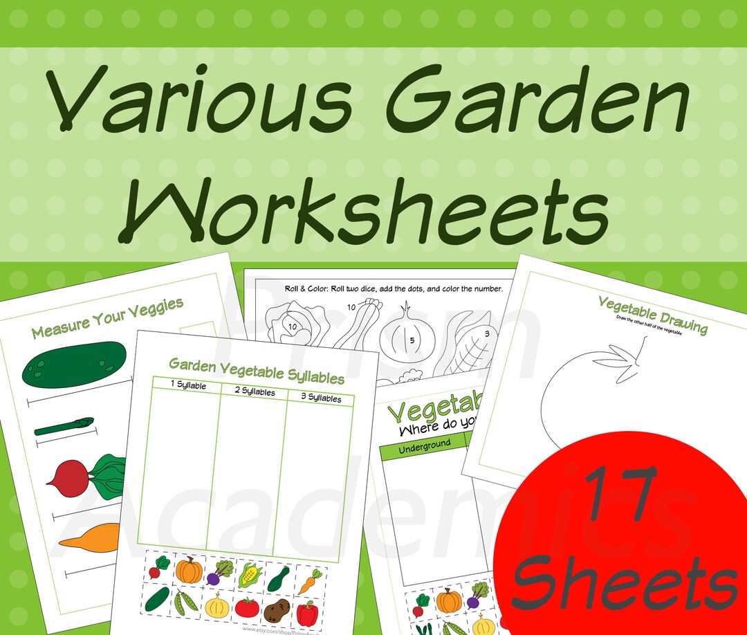 Garden Vegetables Various Worksheets - Digital Download - Printable - Etsy