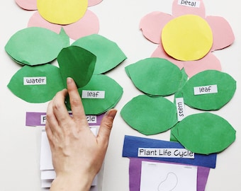 Parts of a Flower Craft Flower Printable Activity How Plants Grow ...