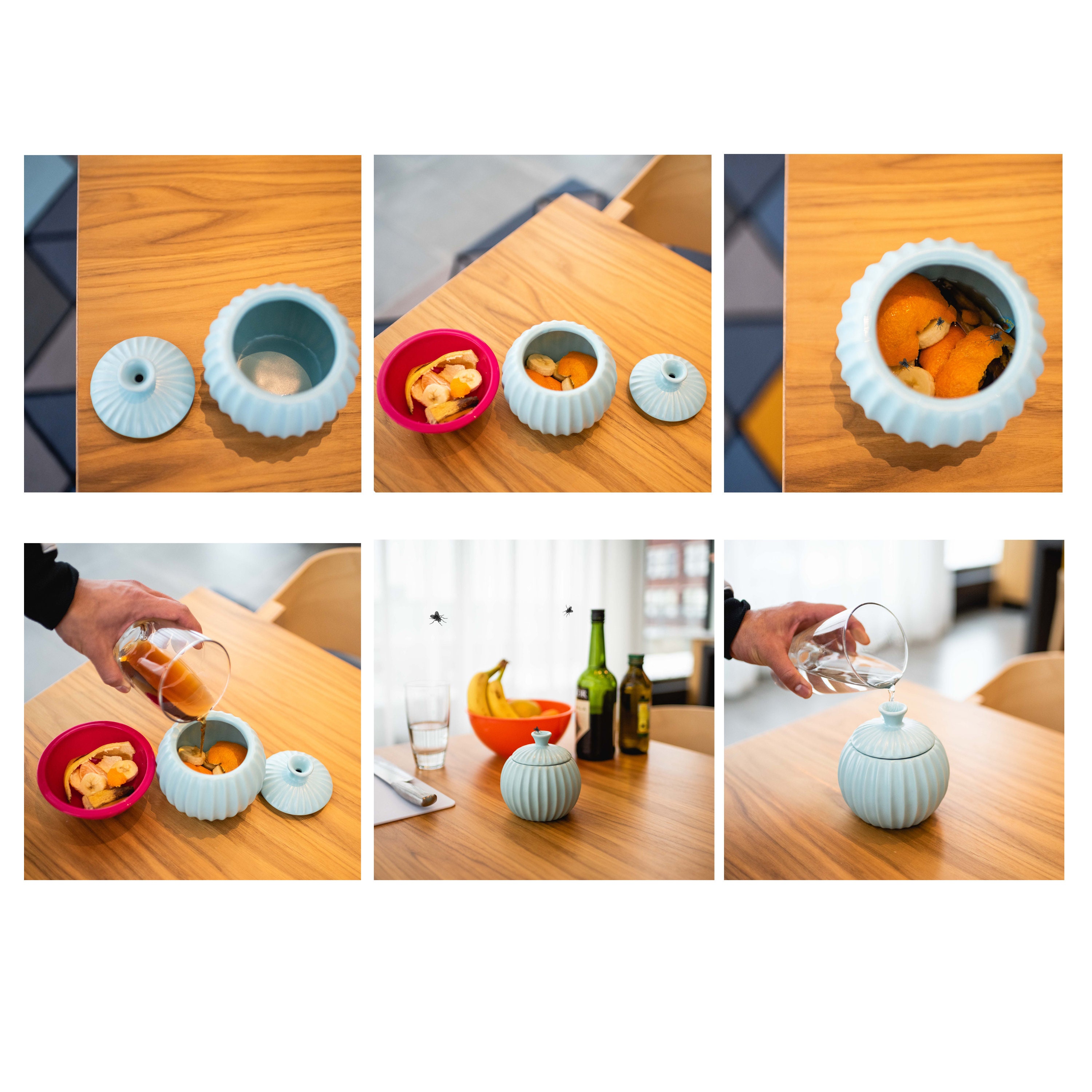 Stylish Indoor Fruit Fly, Gnat or Wasp Trap for Kitchen: Home Insect ...