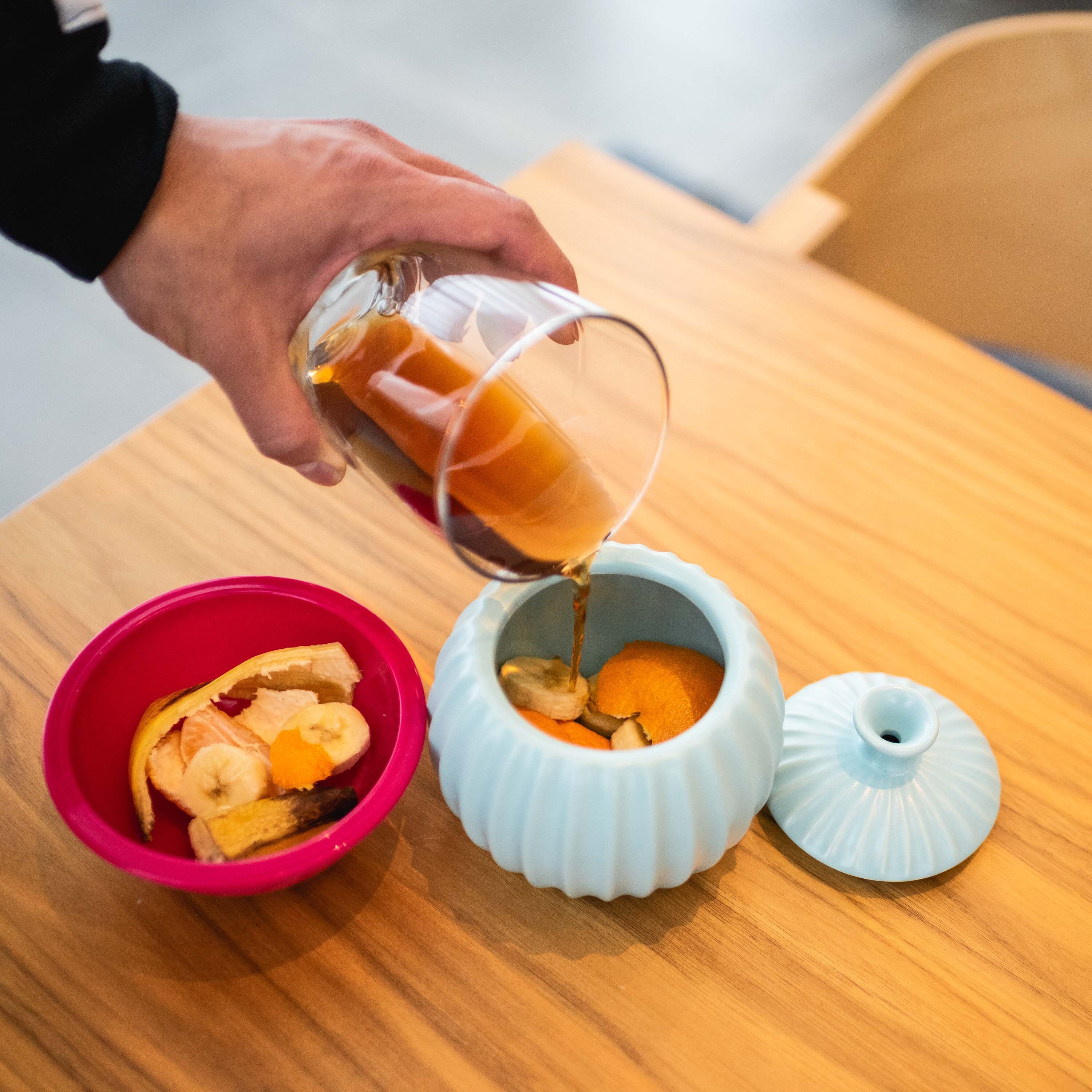 Stylish Indoor Fruit Fly, Gnat or Wasp Trap for Kitchen: Home Insect ...