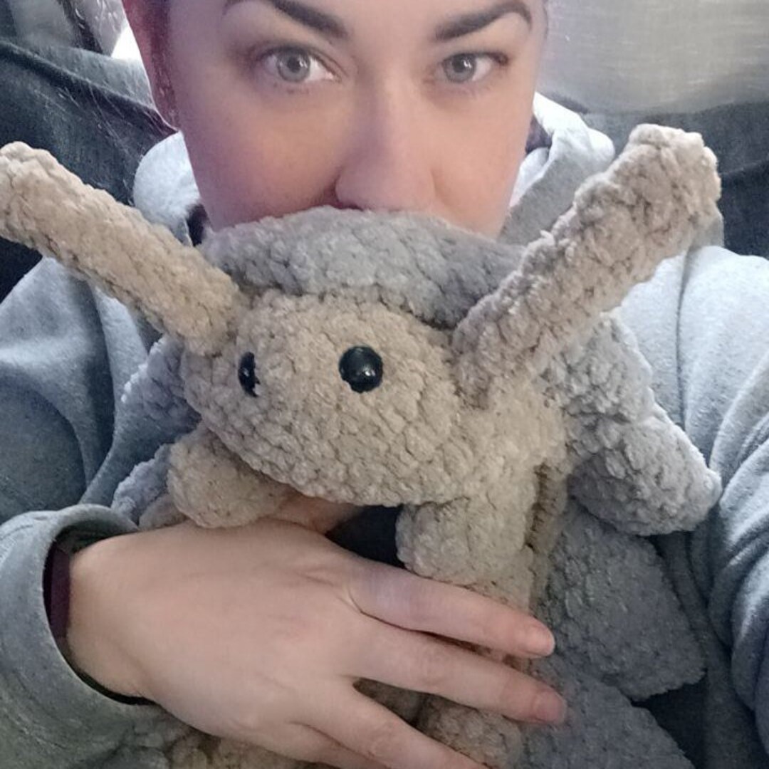 Large Roly Poly, Pill Bug, Made to Order - Etsy