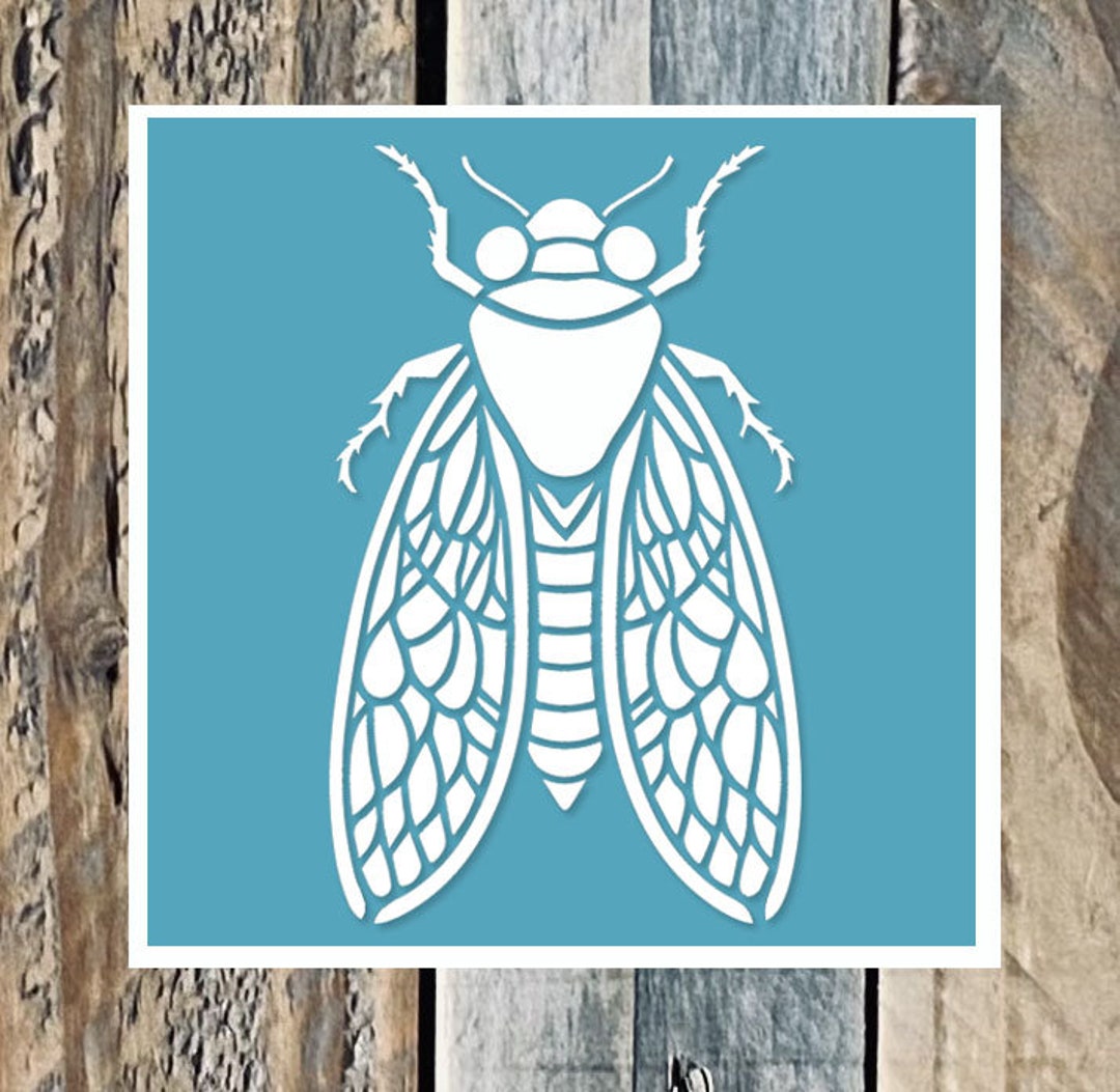 PVC Adhesive Stencil 25 X 20 Cm Large Cicada - Etsy